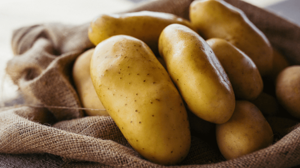 ¿Cuál es la mejor manera de cocinar la papa? - El Parque Papas