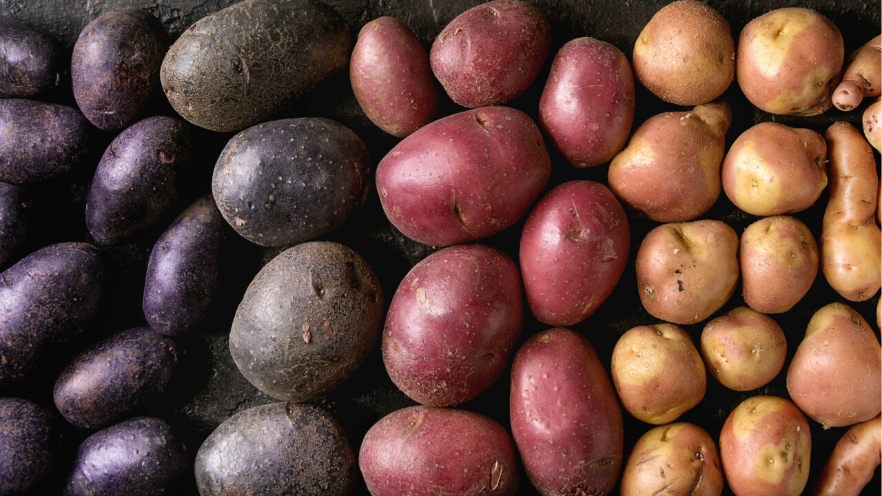 Cómo la papa conquistó el mundo - El Parque Papas